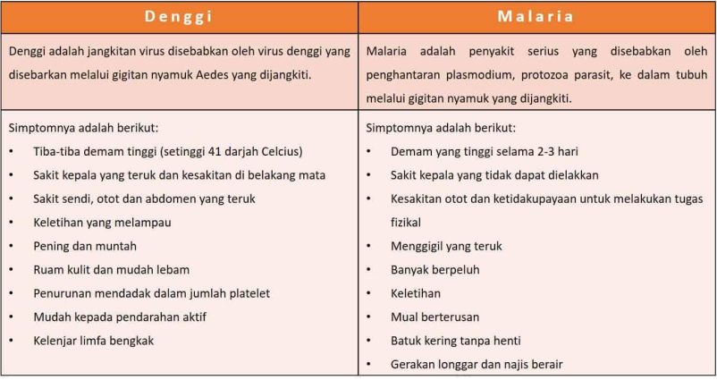 Simptom Denggi & Malaria, Sama Ke? Mari Fahami Dengan Lebih Lanjut!