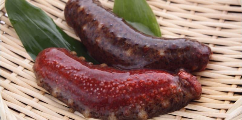 Manfaat Gamat Untuk Kesihatan: Boleh Jadi Makanan & Ubatan?