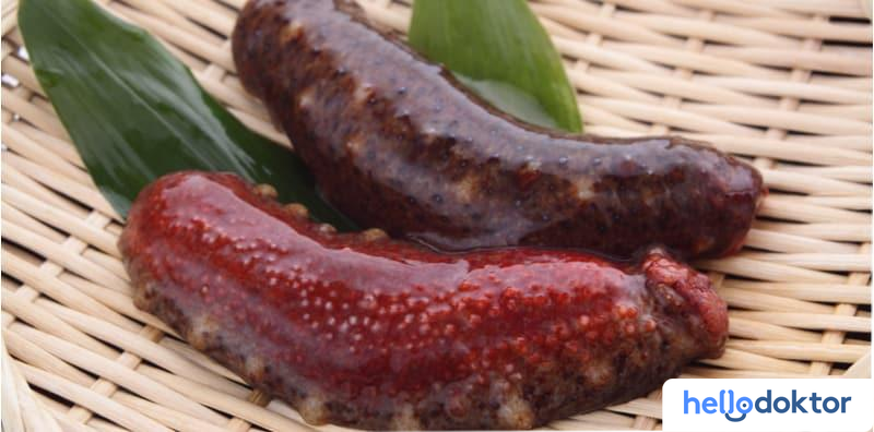Manfaat Gamat Untuk Kesihatan: Boleh Jadi Makanan & Ubatan?