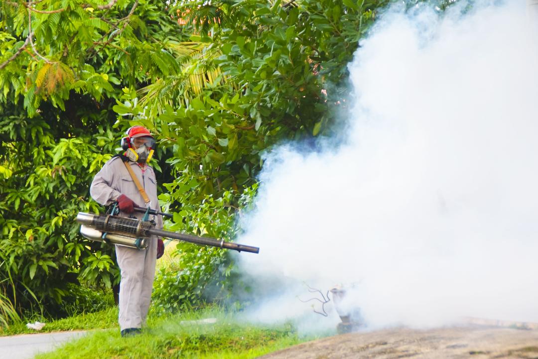 Denggi: Satu Beban Kepada Negara dan Masyarakat - Hello Doktor