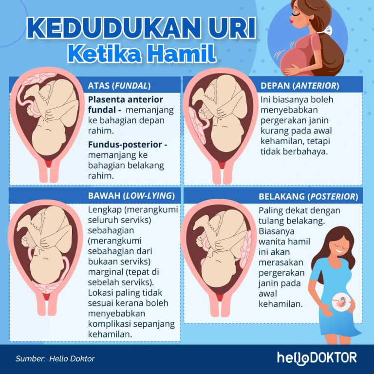 Apa Itu Plasenta Bayi: Ini Yang Anda Perlu Tahu Mengenainya Hello Doktor