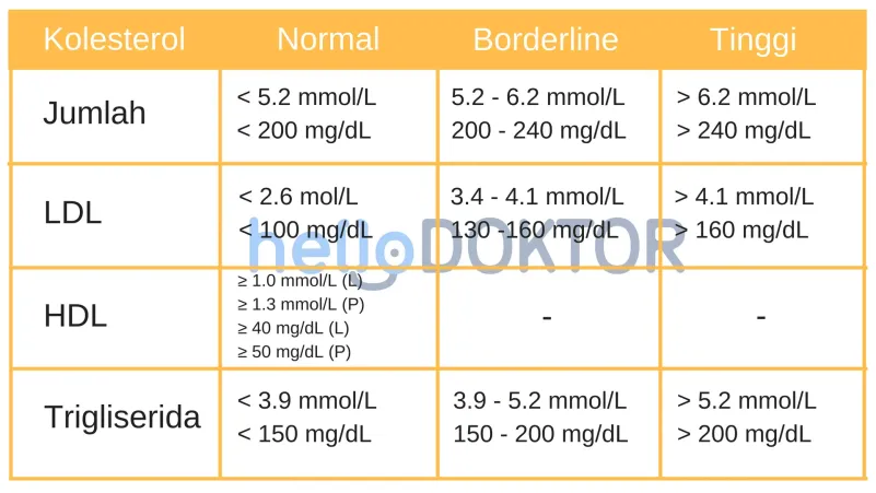 Tentang Kolesterol Yang Perlu Anda Tahu, Ia Tidak Semestinya Buruk!