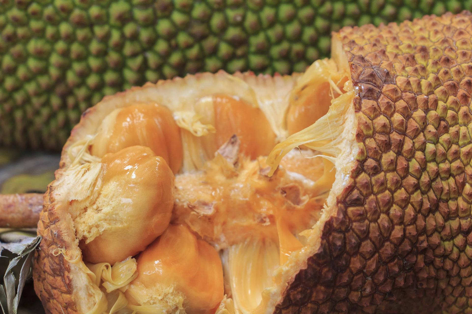 Kenali 5 Manfaat Buah Cempedak - Hello Doktor