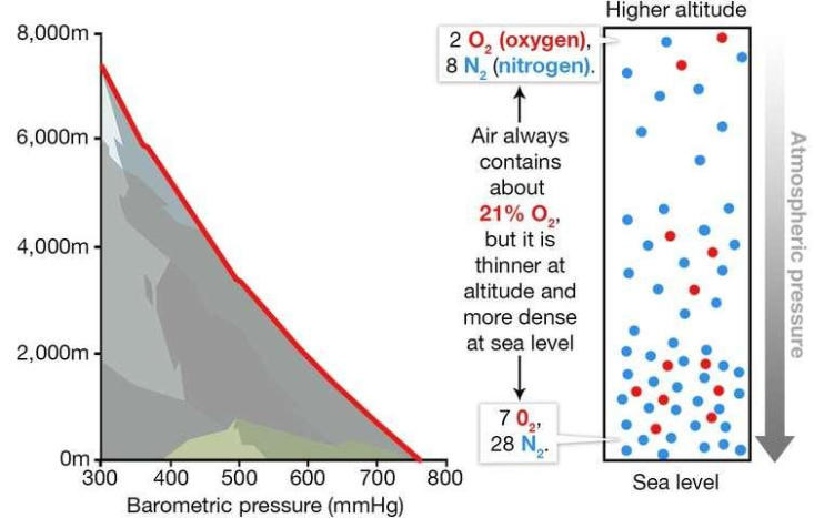 Altitud Tinggi: Apa yang Berlaku Terhadap Tubuh? - Hello Doktor