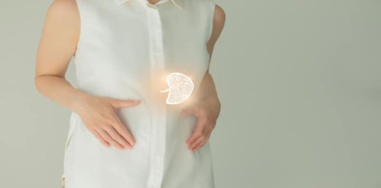 Fungsi Limpa Dalam Tubuh Manusia Penting, Jangan Pandang Remeh!