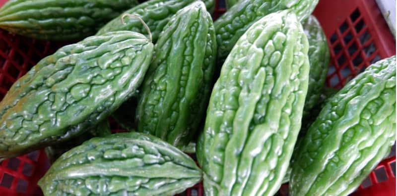 Peria Katak Bagus Jika Anda Ada Diabetes Tapi Ada Kesan Sampingan!
