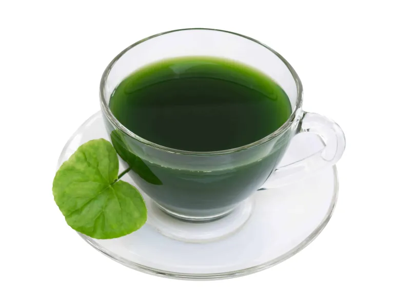 Pegaga Dan Khasiatnya Kepada Tubuh Badan Anda, Ambil Tahu Ini