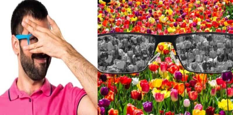 Rabun Warna Lebih Banyak Dialami Lelaki? Ini Jawapannya - Hello Doktor