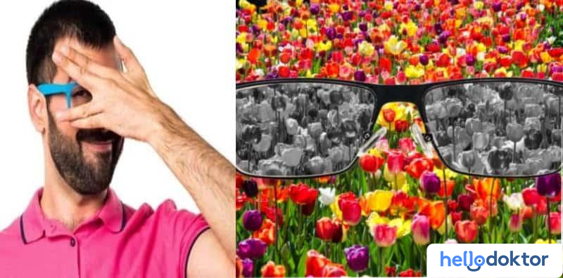 Rabun Warna Lebih Banyak Dialami Lelaki? Ini Jawapannya - Hello Doktor