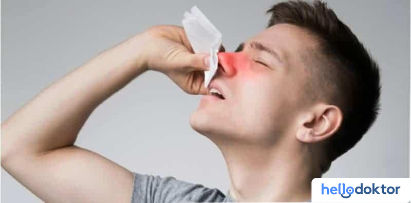 Bagaimana Hingus Terhasil? Ini Rahsia Di Sebalik 7 Warna Hingus!