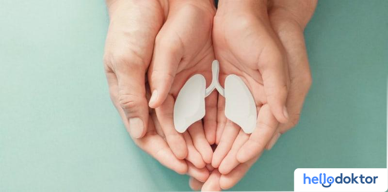 Jenis Penyakit Paru Paru: Jenis Dan Tahap Kanser Paru-Paru