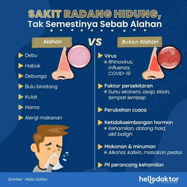 Bengkak Dalam Hidung: Jangkitan Kuman Ini Petanda Sinus Kronik?