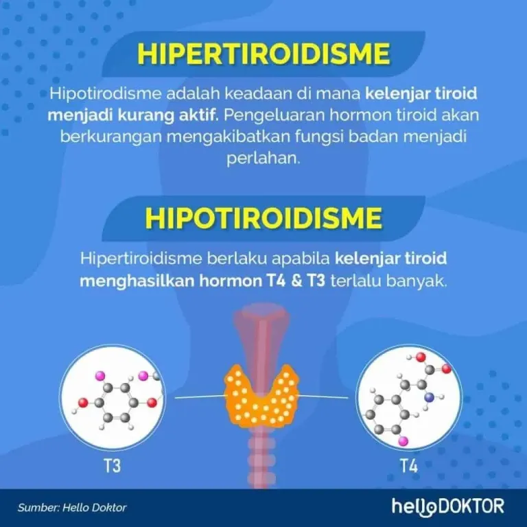 Punca Thyroid Adalah Makanan Bersoya? Apa Lagi Mitos Penyakit Tiroid