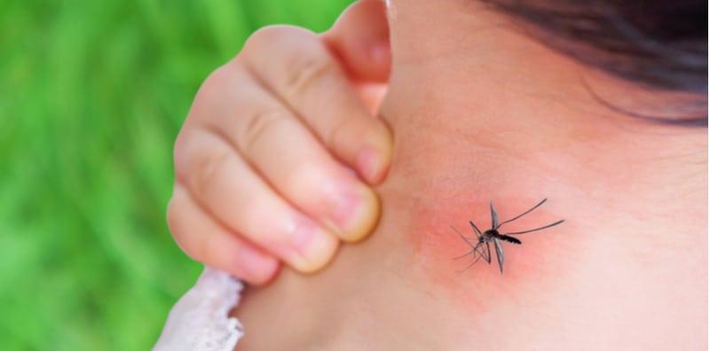 Denggi Malaysia: Ini Pantang Larang Kalau Anda Alami Demam Denggi