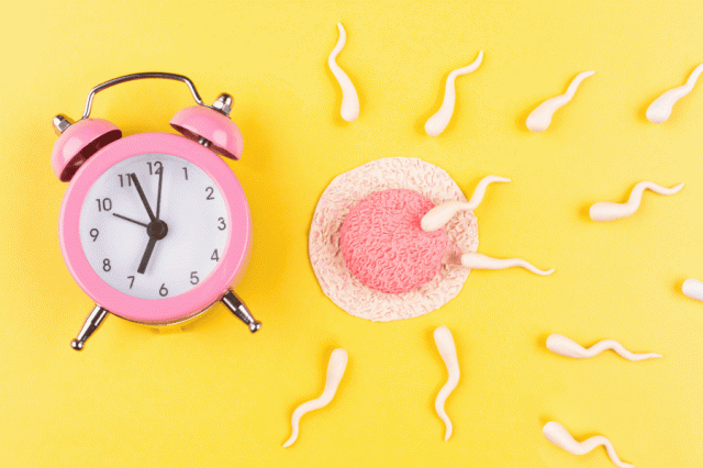 Tanda Ovulasi Yang Harus Wanita Perhatikan Jika Ingin Cepat Hamil!