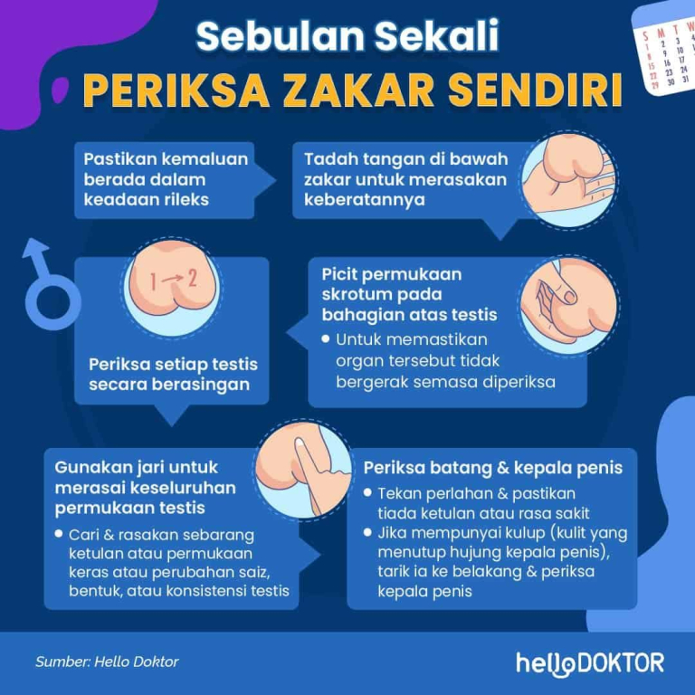 Kepala Zakar Bengkak? Ini Punca Sebenar Yang Menjadi Dalangnya!