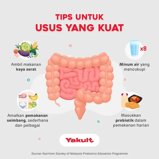 Minuman Probiotik Tingkatkan Fungsi Usus, Kuatkan Imun Tubuh Anda!