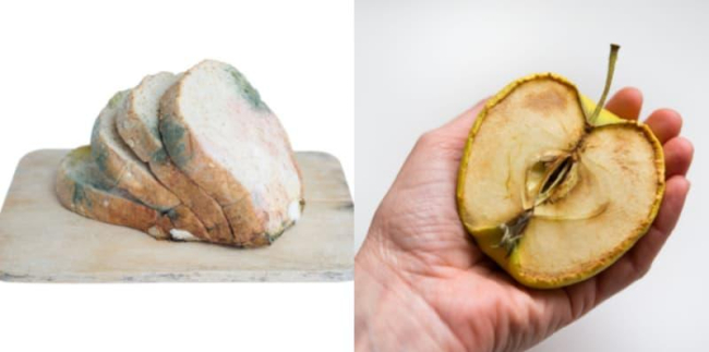 Makanan Basi Dengan Lebih Cepat, Ini Antara 5 Punca Ia Berlaku!
