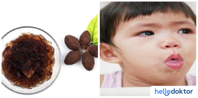 Bunga Kembang Semangkuk Baik Untuk Ubati Batuk Anak? Ini Khasiatnya