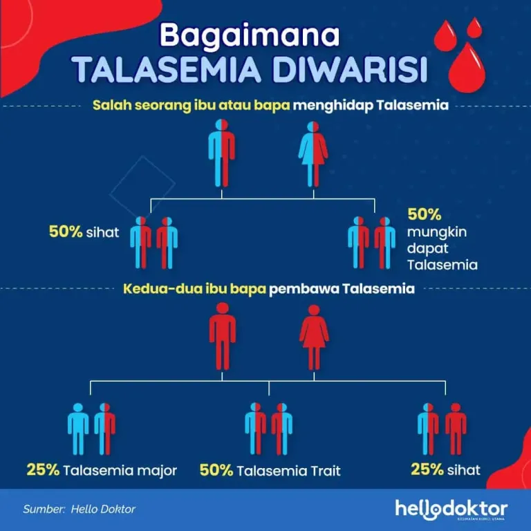 Thalassaemia Menyebabkan Pembentukan Yang Tidak Normal Pada Diri!
