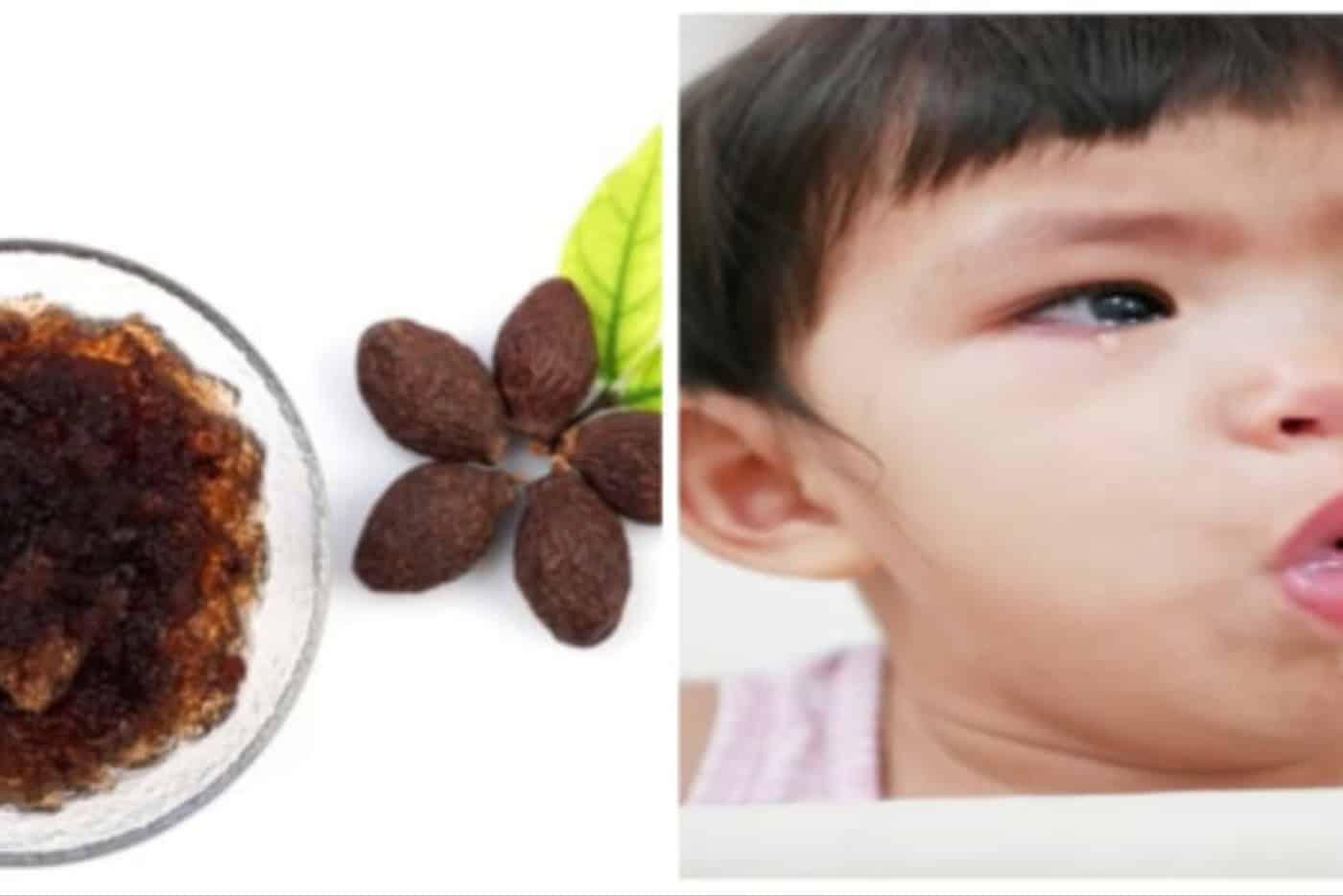 Bunga Kembang Semangkuk Baik Untuk Ubati Batuk Anak? Ini Khasiatnya