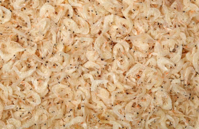 Cara Siang Udang Yang Betul Ikut Saiznya! Ekstra: Tip Siang Udang Lipan