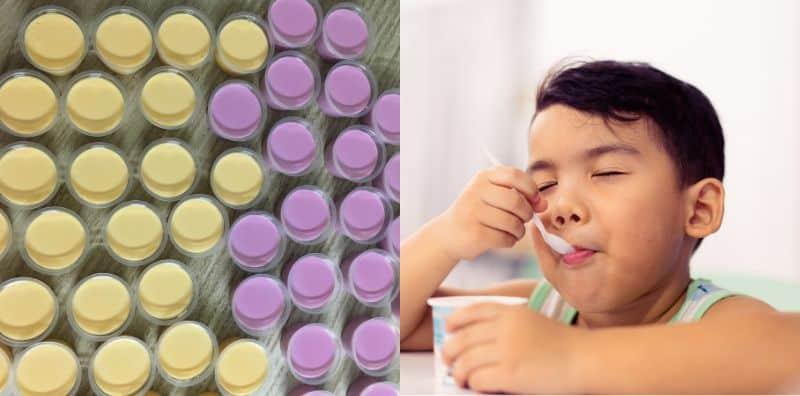 Cara Buat Dadih: Ini 2 Resipi Mudah, Sedap Dan Berkhasiat Untuk Famili