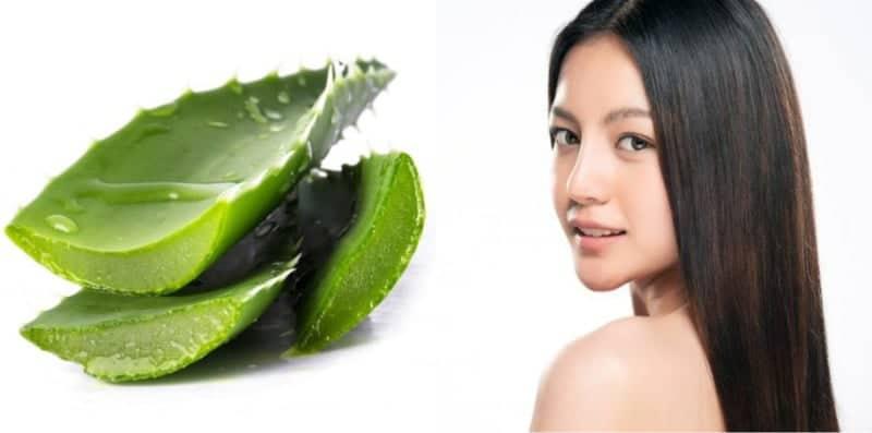 Aloe Vera Untuk Rambut Amalkan 7 Cara Untuk Dapatkan Manfaatnya