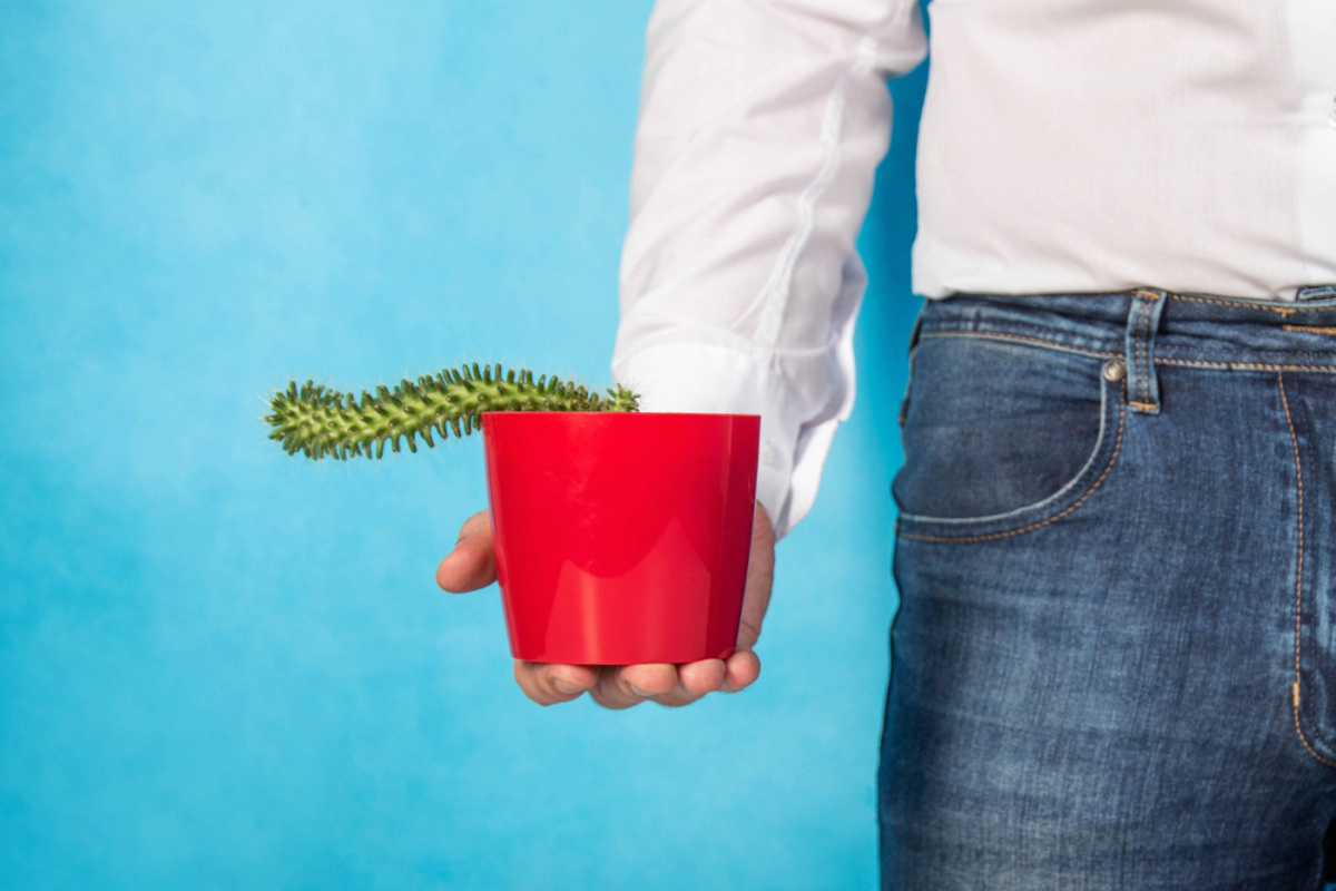 Cara Kuatkan Zakar, Amalkan Ini Jika Ada Masalah Ereksi Tidak Kuat!