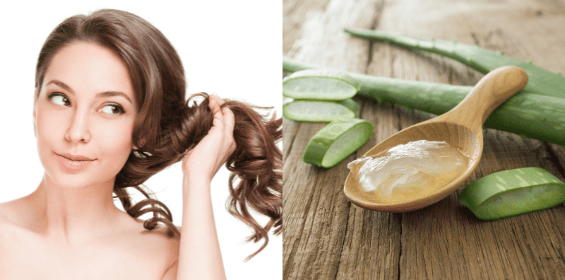 Aloe Vera Untuk Rambut Amalkan 7 Cara Untuk Dapatkan Manfaatnya