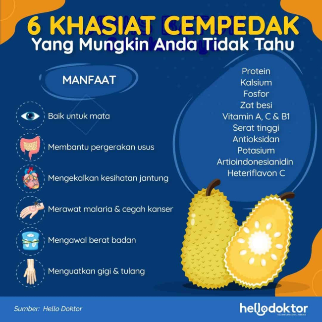 Resepi Cempedak Goreng Sedap: Ini 3 Resipi Mudah Anda Patut Cuba!