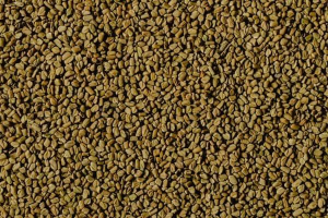 Senarai Rempah Ratus: Ini 9 Jenis Rempah Mesti Ada Di Dapur Anda!