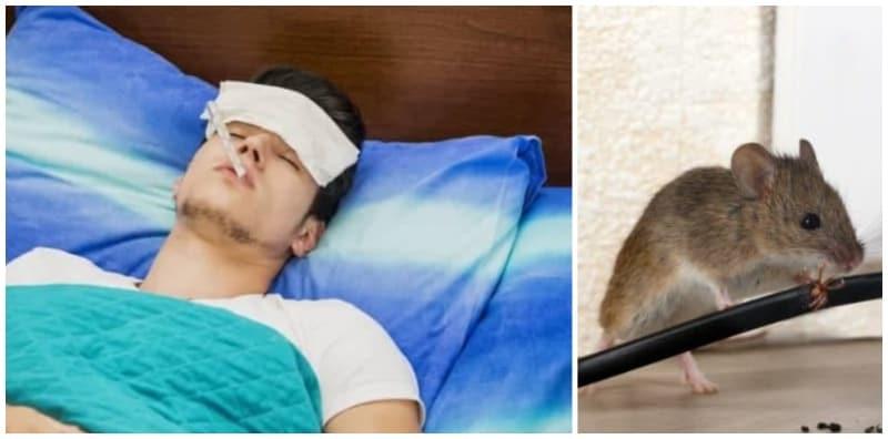 Penyakit Leptospirosis (Kencing Tikus): Ini Simptom & Rawatannya