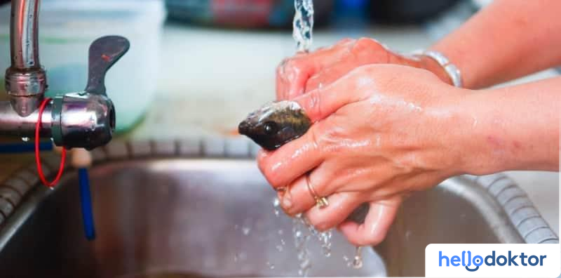 Siang Ikan Jadi Mudah Dengan 2 Cara Ini, Hanya Guna Pisau & Gunting!