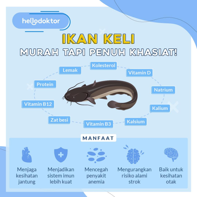 Siang Ikan Jadi Mudah Dengan 2 Cara Ini, Hanya Guna Pisau & Gunting!